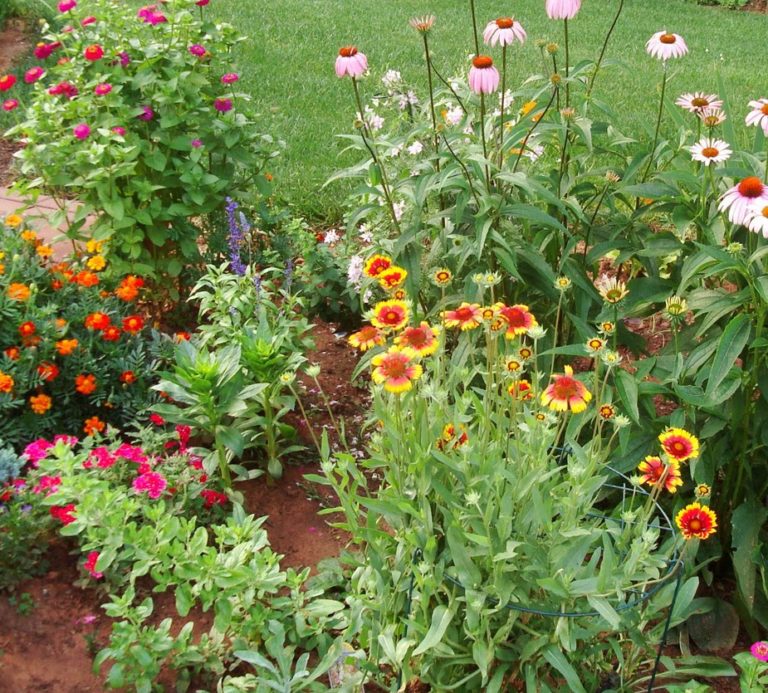 Revive and Rejuvenate for More Flower Power | DesignScapes of NC, Ltd.