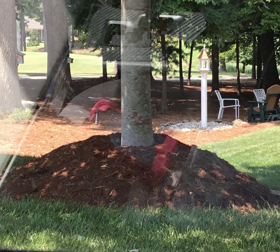 Mulch Mounding | DesignScapes of NC, Ltd.